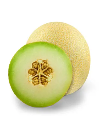 Dulcinea® Melons | Dulcinea Farms & Pacific Trellis Fruits