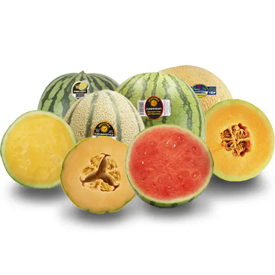 Dulcinea® Melons | Dulcinea Farms & Pacific Trellis Fruits