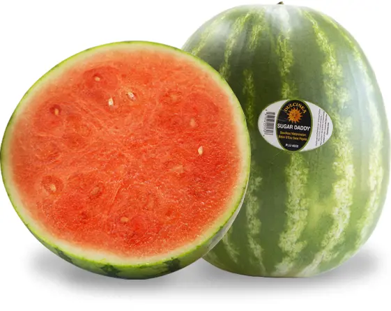 Dulcinea® Melons | Dulcinea Farms & Pacific Trellis Fruits