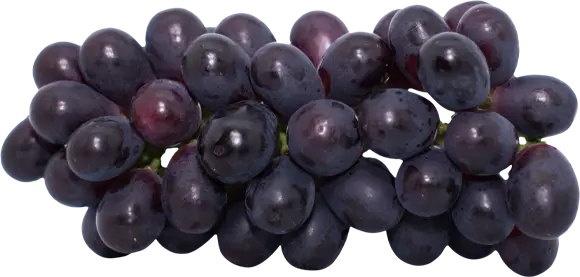 Dulcinea® Farms - Fruit of Legendary Perfection™